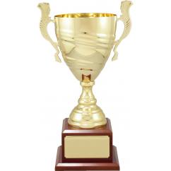 Elegant Cups – Trophy Mart Online