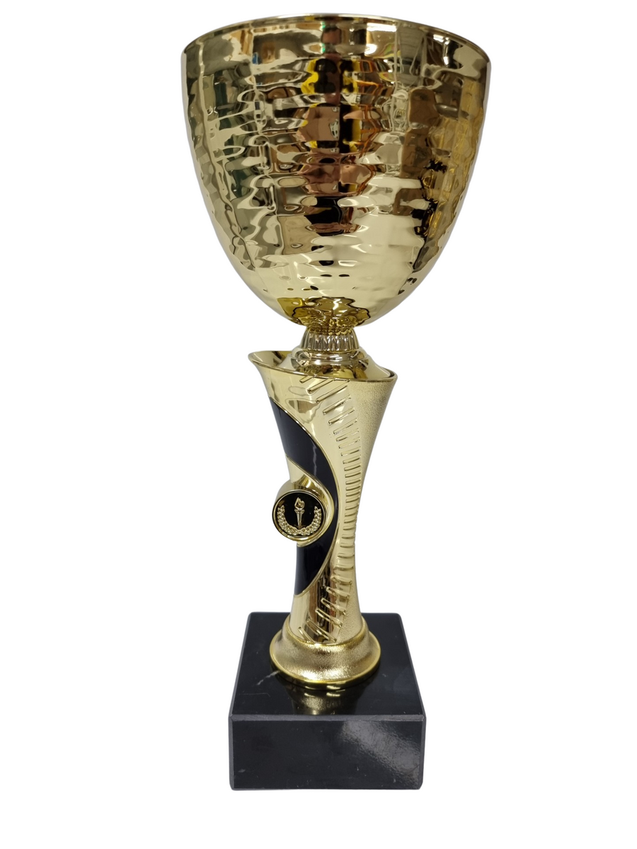Special *Gold Cup 30cm – Trophy Mart Online
